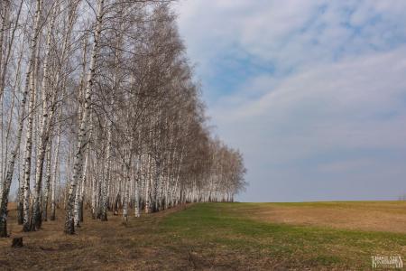 Oryol Region | Rusmania