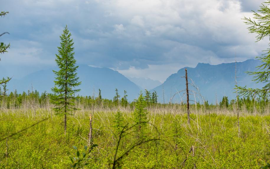 Day tour to Chara Sands | Rusmania